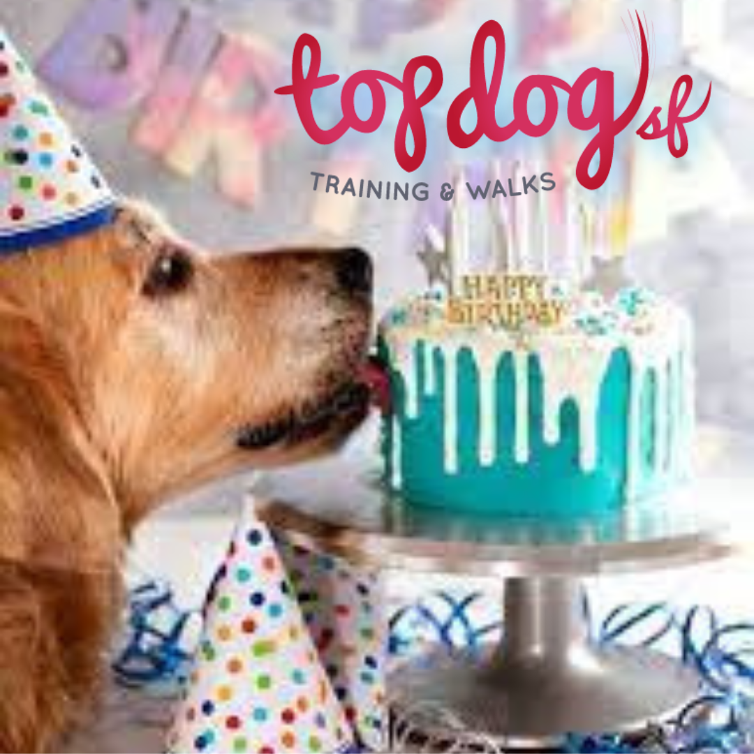 topdog candles