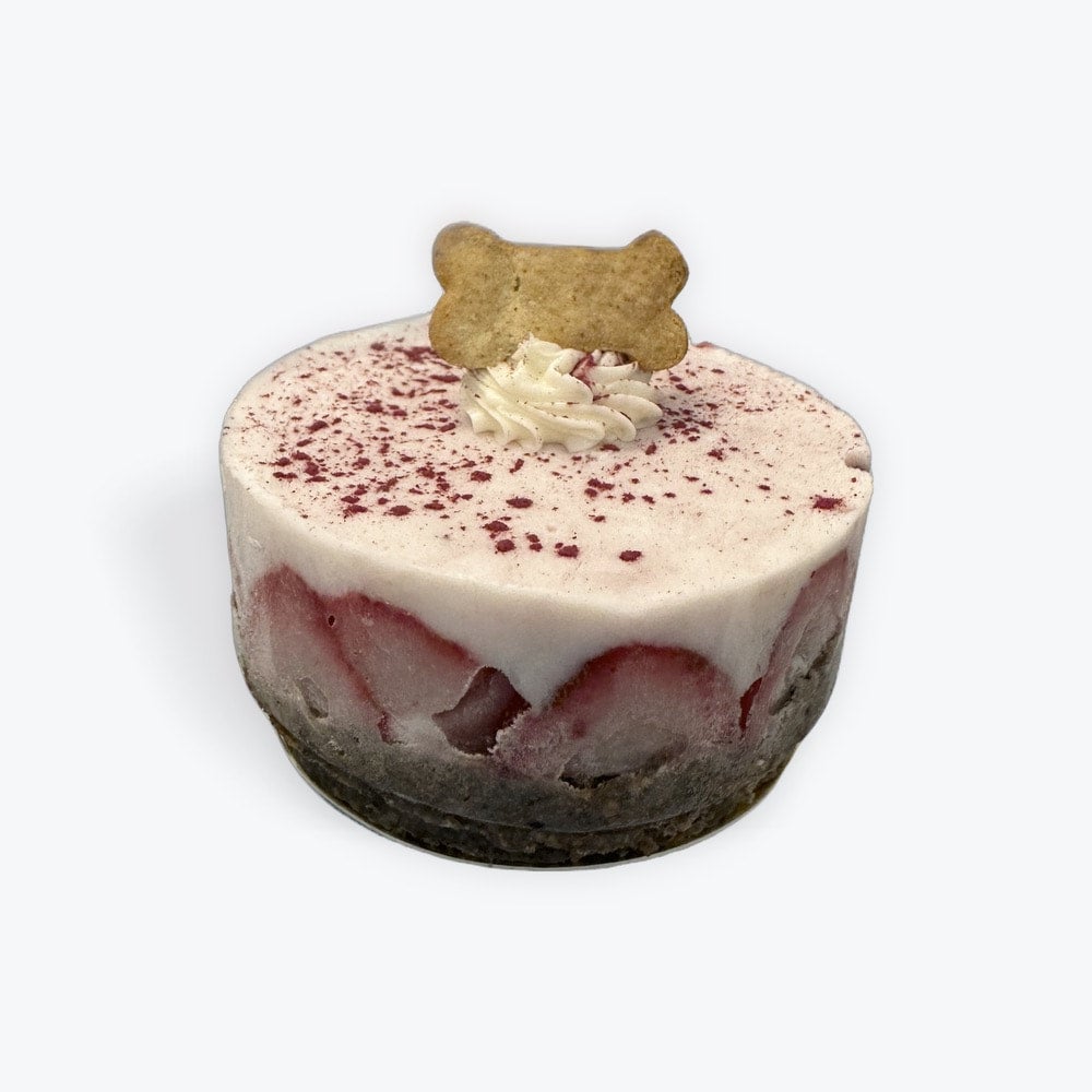 Tail Wagging Strawberry Cheesecake | Paw Patch Pastries